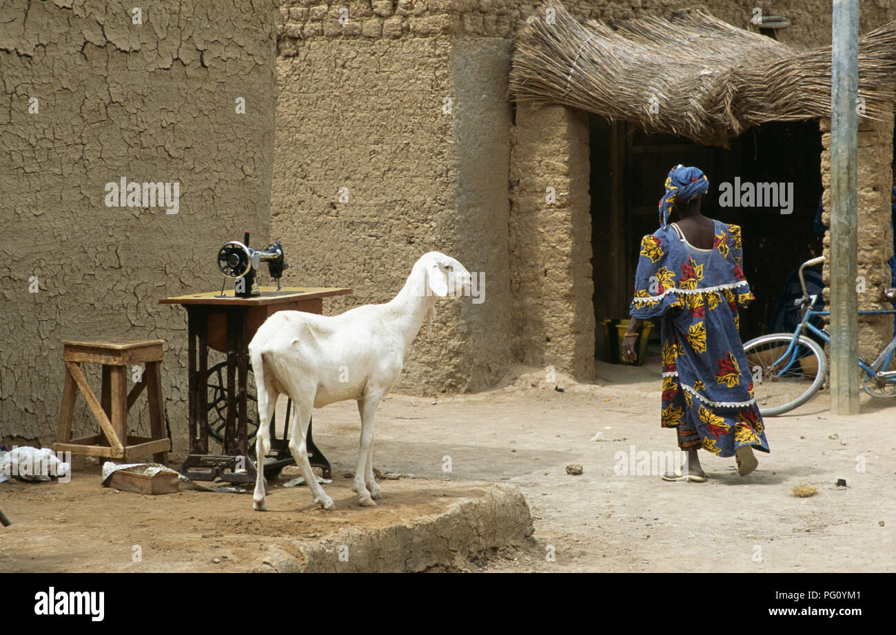 Woman with goat hi-res stock photography and images - Alamy