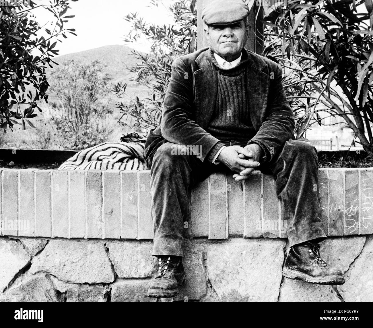 What Color Are Sardinian Shepherd Dog Dogs