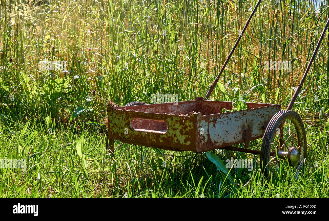 Old rusty cart on the field of golden wheat under beautiful sunlight ...