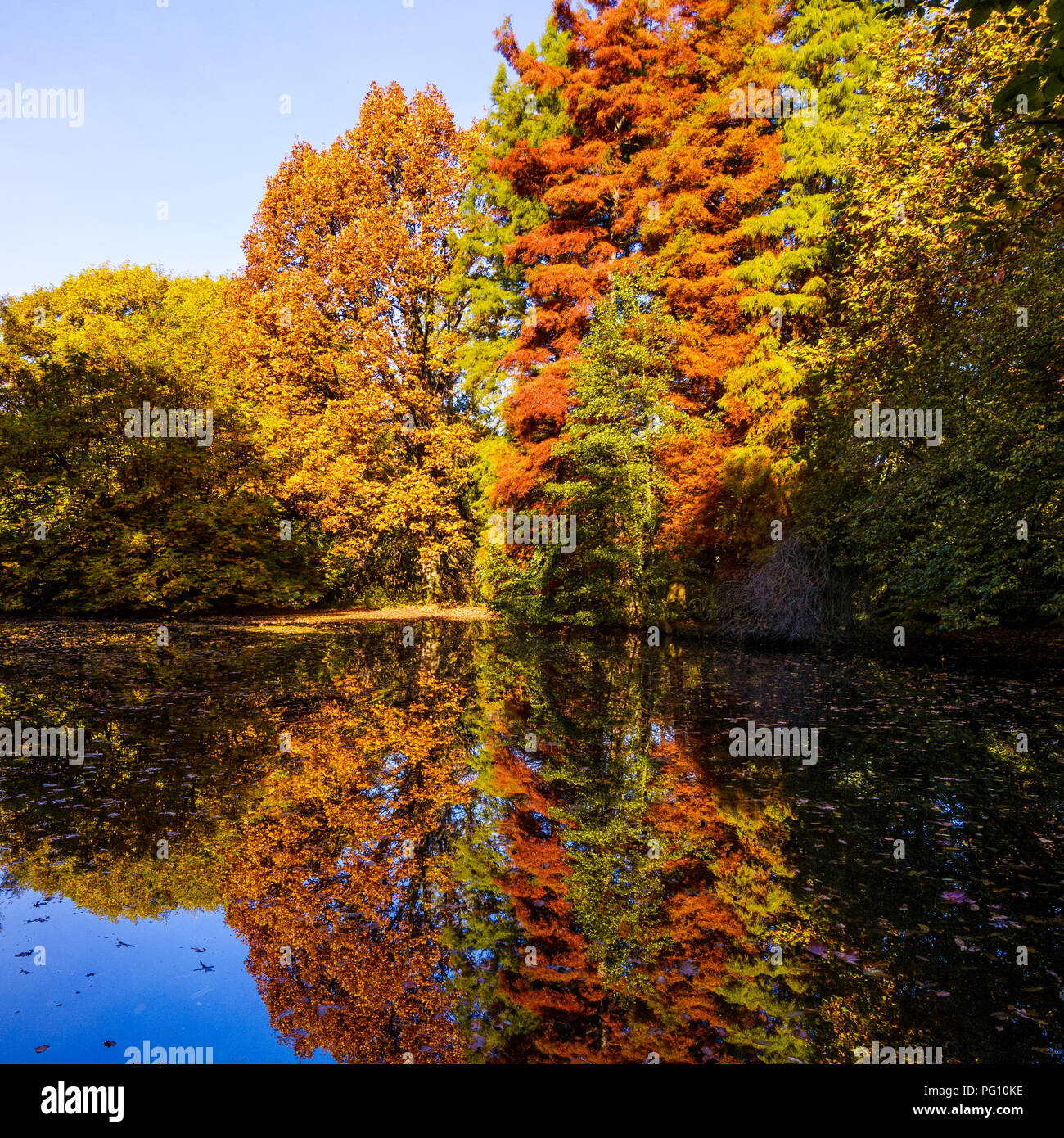 Wonderful Landscape. Colorful Autumn scene Stock Photo - Alamy