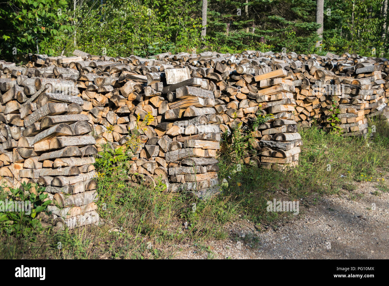 Cut split stacked firewood for winter background close-up in summertime ...