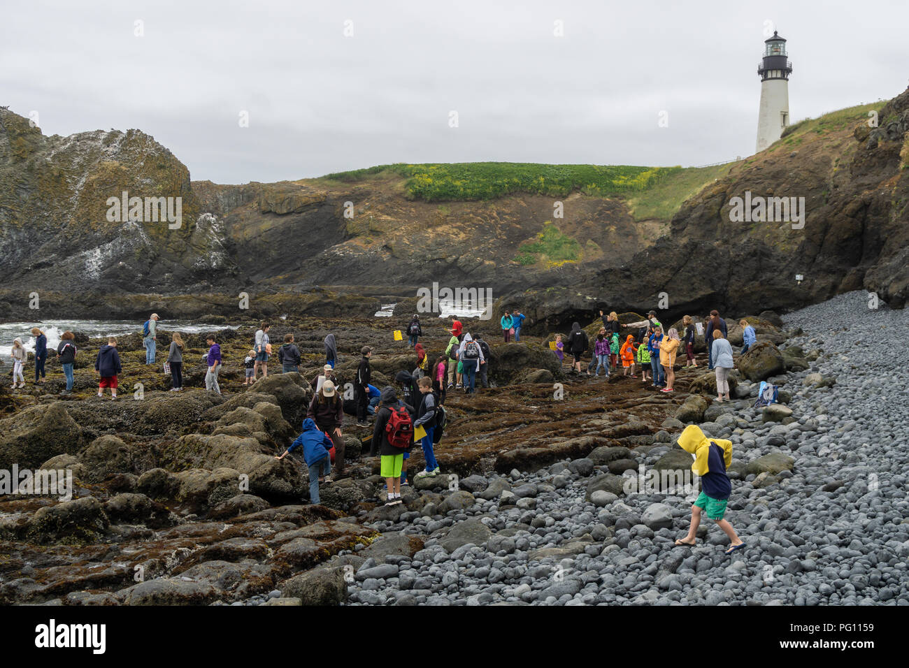 Schoolkids on a educational school trip to discover the tidepools sea ...
