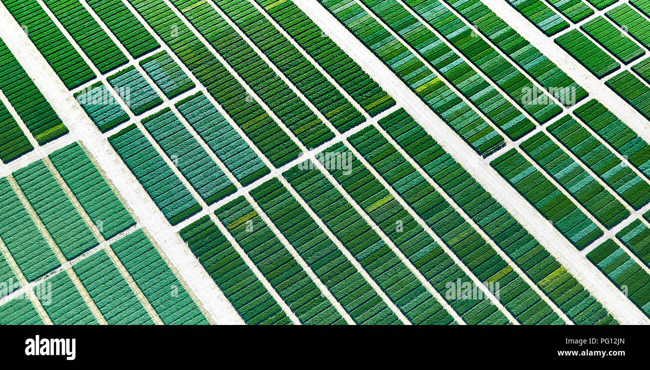 Experiment farm hi-res stock photography and images - Alamy