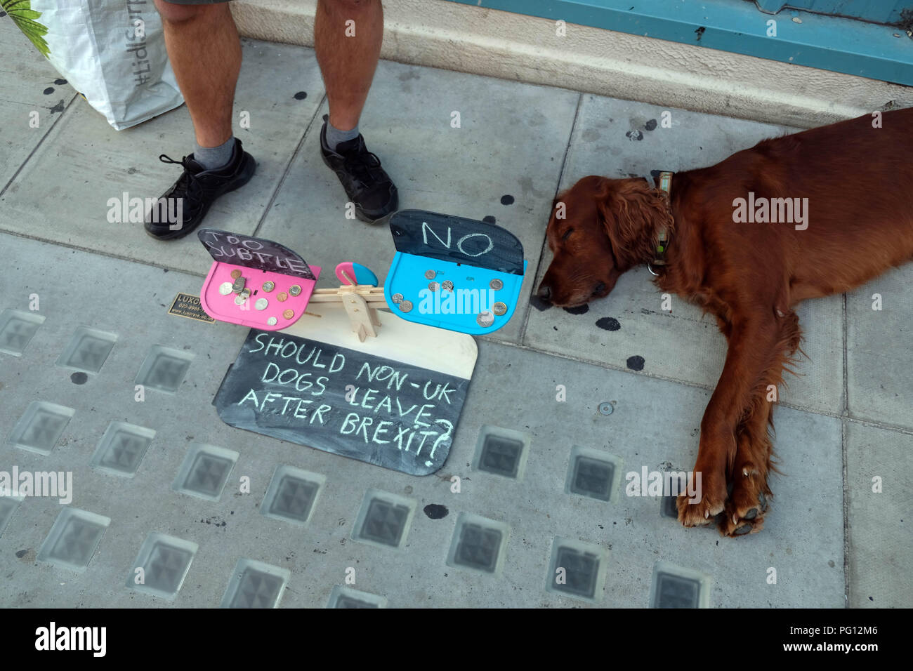 The Street Debater Street debating is also a new trend seen as an ...