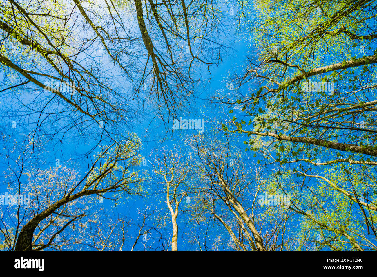 Magic view hi-res stock photography and images - Alamy