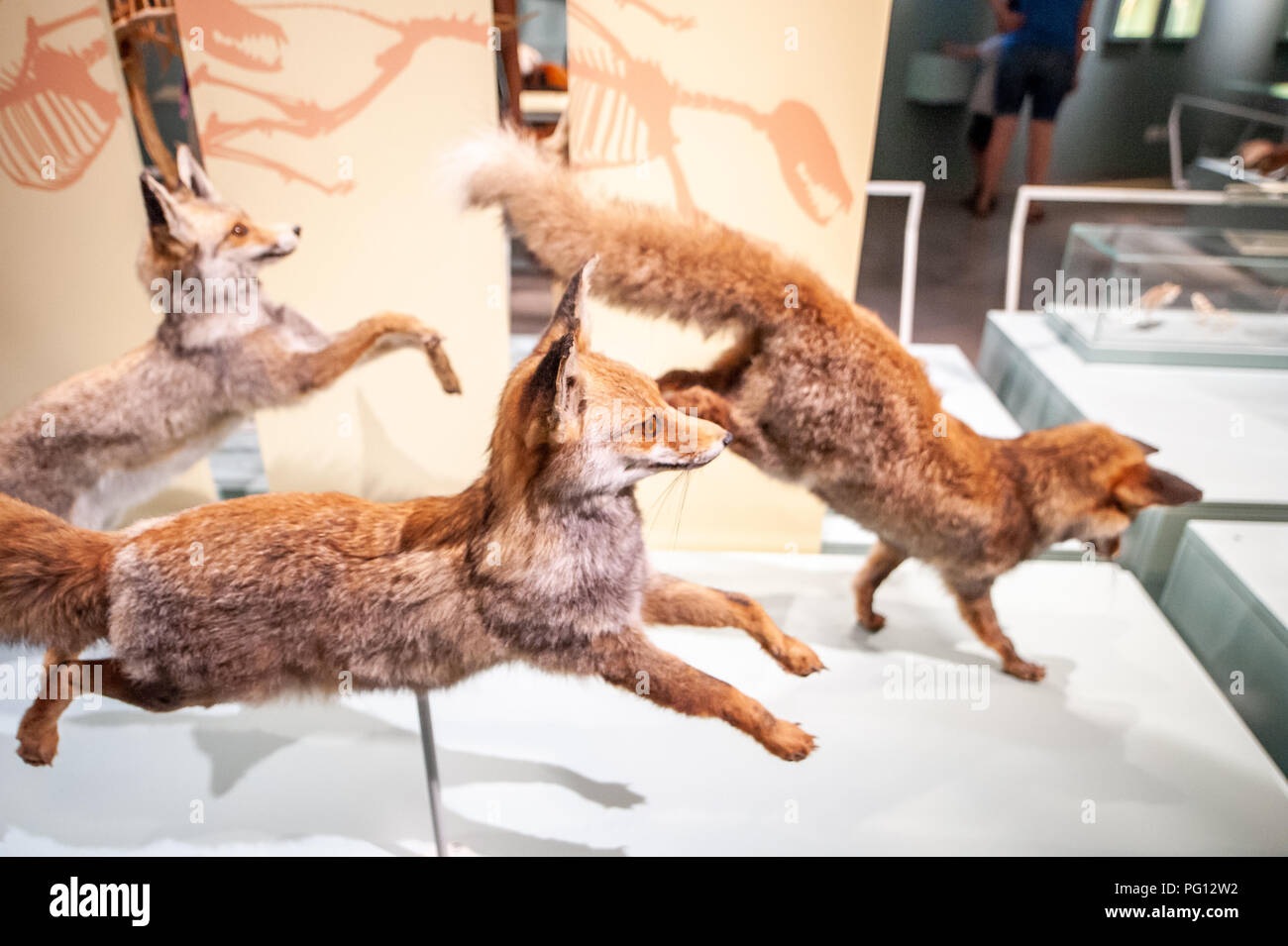 Israel, Ramat Aviv - 3 August 2018: Inside view of the Steinhardt ...