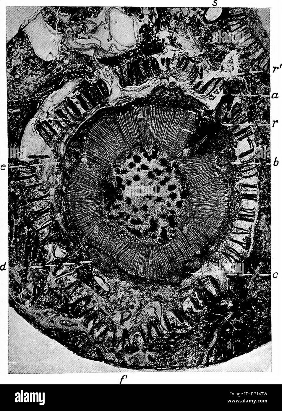 403 b Black and White Stock Photos & Images - Alamy