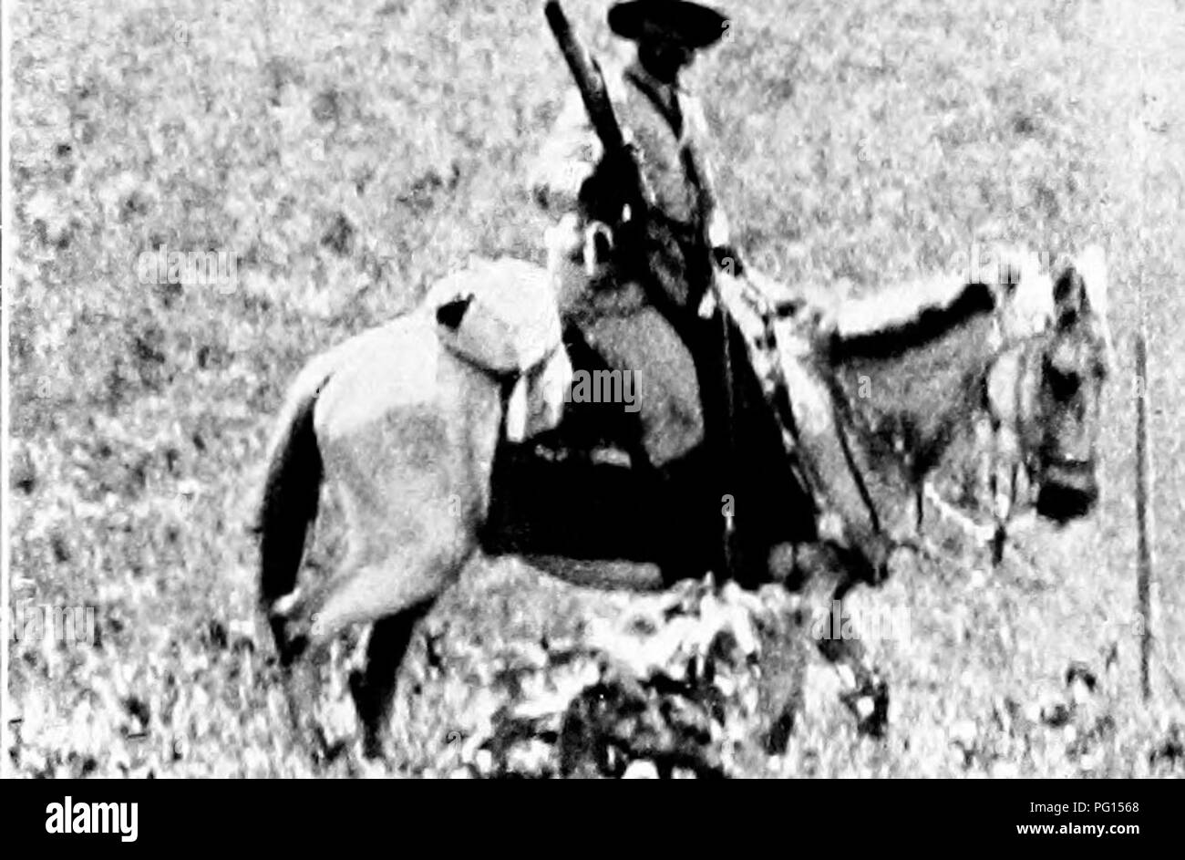 Stunted appearance hi-res stock photography and images - Alamy