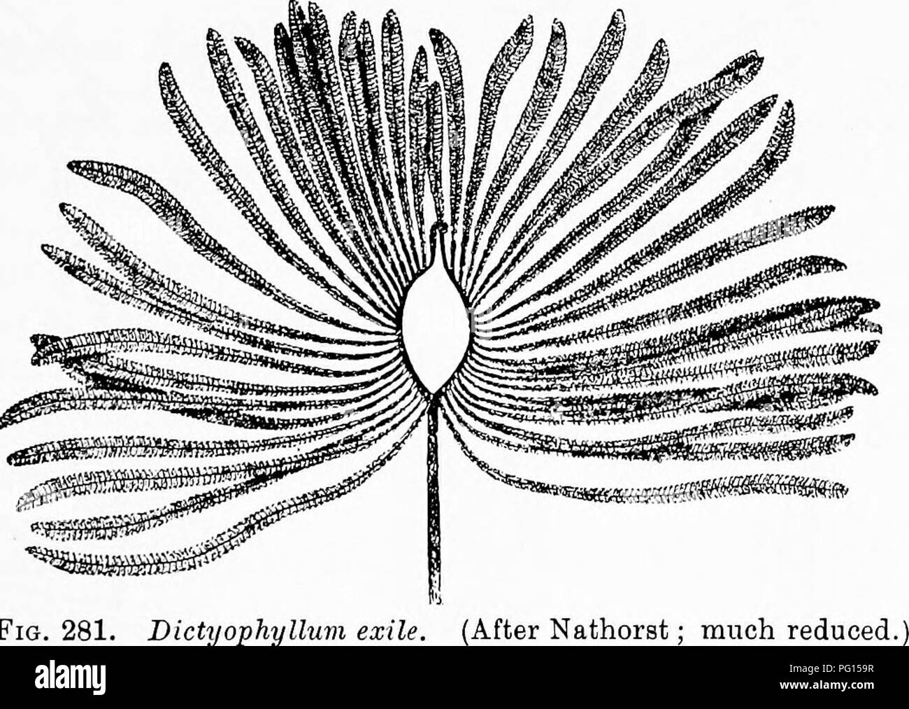 Dichotomy Black and White Stock Photos & Images - Alamy