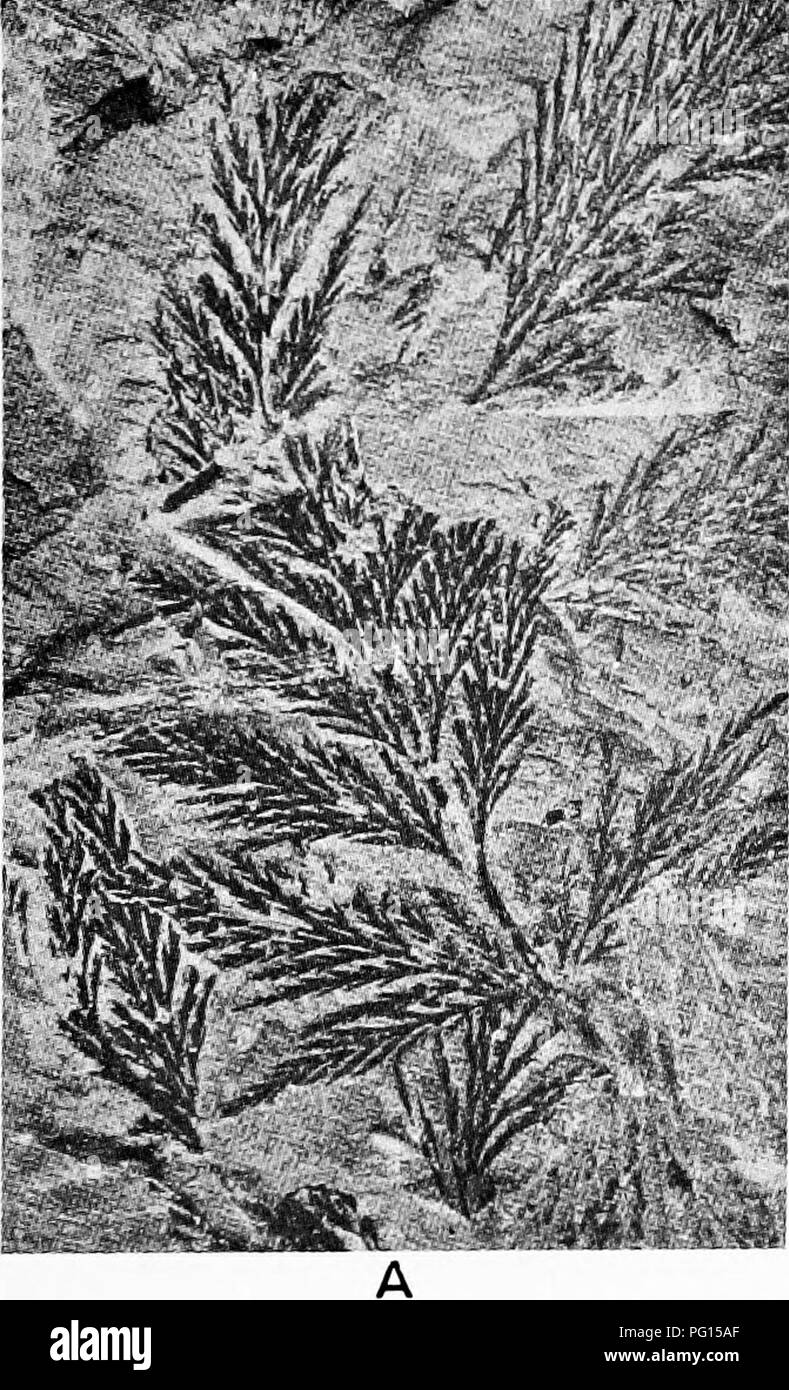 Smaller illustrations illustrate hi-res stock photography and images ...