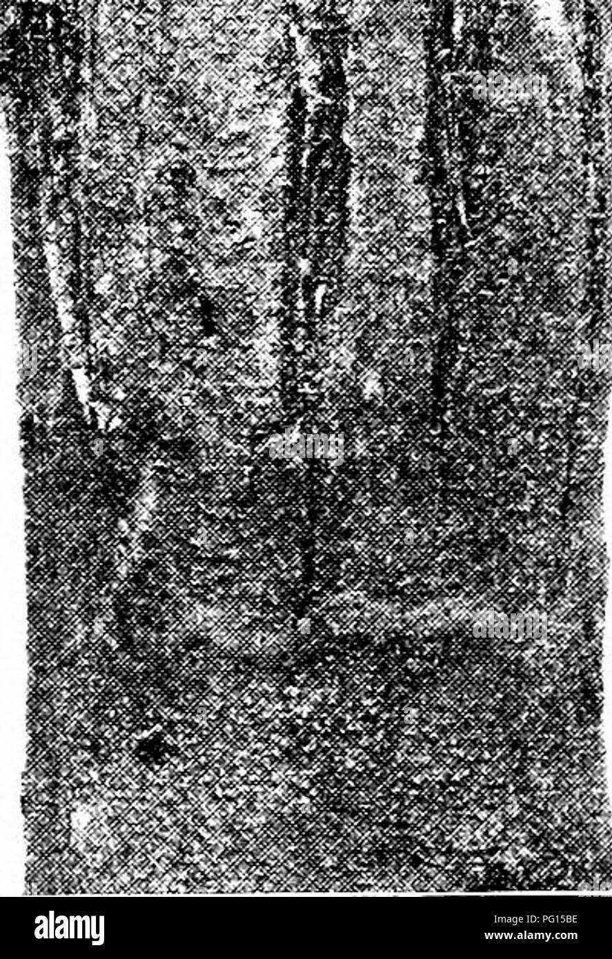 Shear cracks hi-res stock photography and images - Alamy