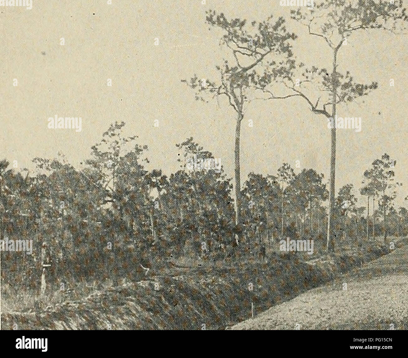 This image from 'The Cuba Review' describes the rolling stock and ...