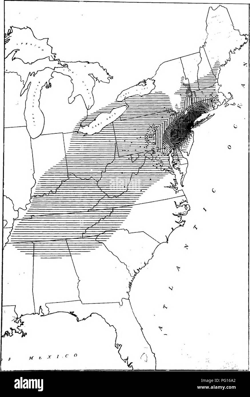 American chestnut tree blight Black and White Stock Photos & Images - Alamy