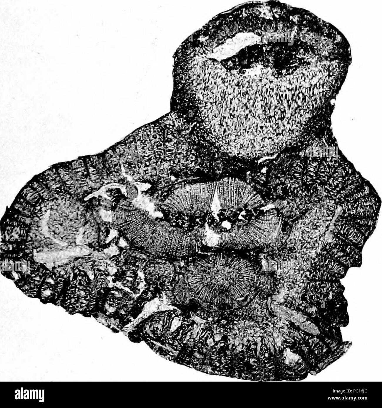 Balbal or human formed stele hi-res stock photography and images - Alamy