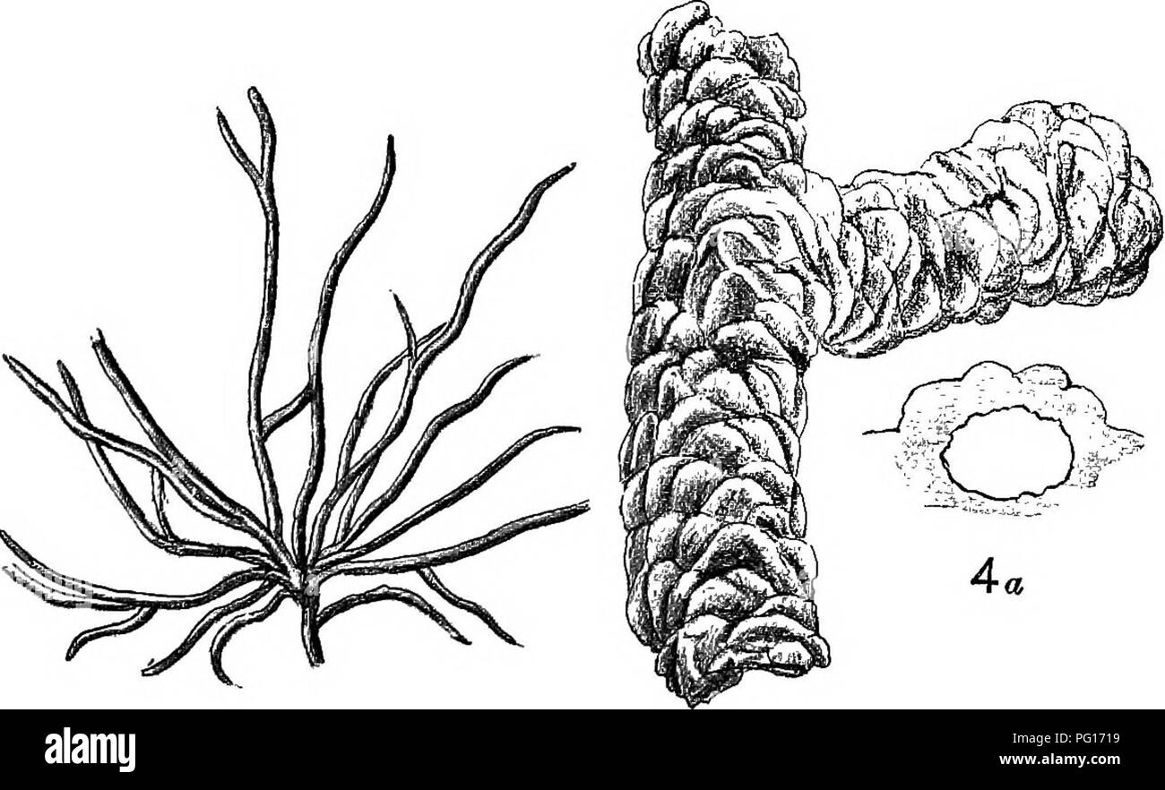 Plaster 2 Black and White Stock Photos & Images - Alamy