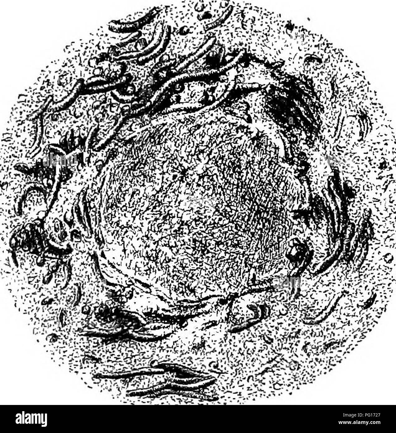 Arenaceous rock hi-res stock photography and images - Alamy