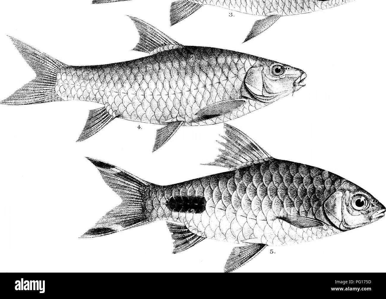 Day ip m hi-res stock photography and images - Alamy