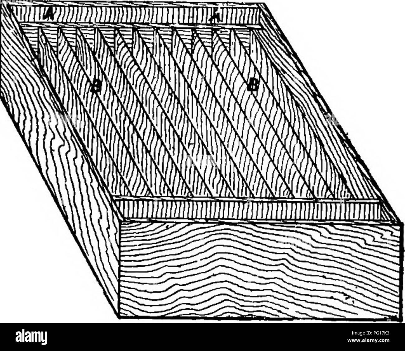 This guide focuses on beekeeping, offering insights into the care and ...