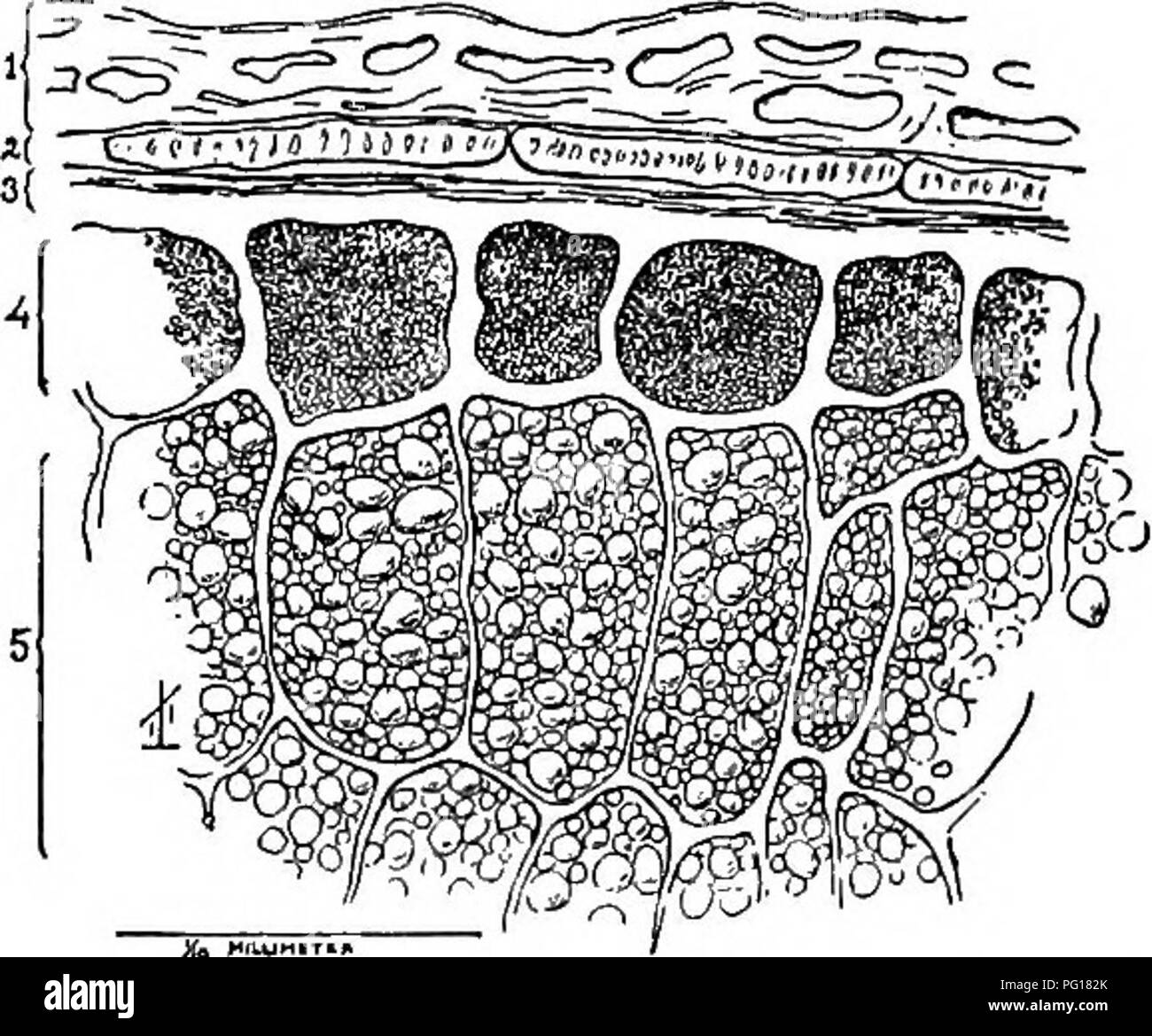 Layer mill Black and White Stock Photos & Images - Alamy