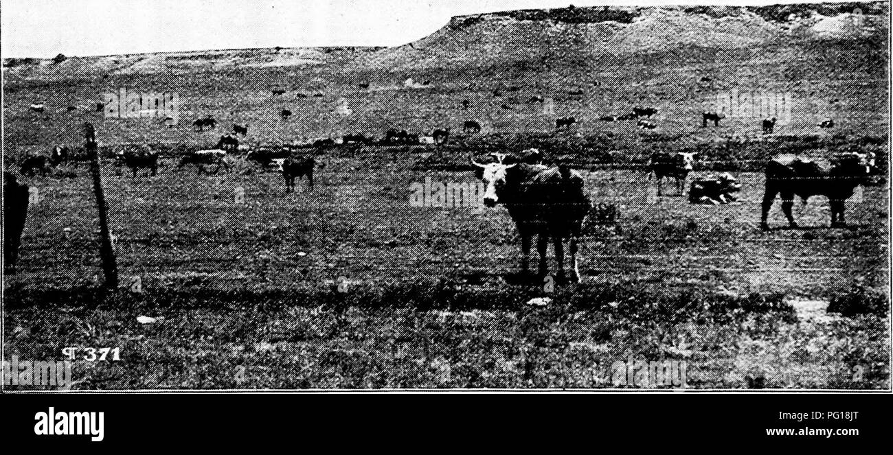Longmore Black and White Stock Photos & Images - Alamy