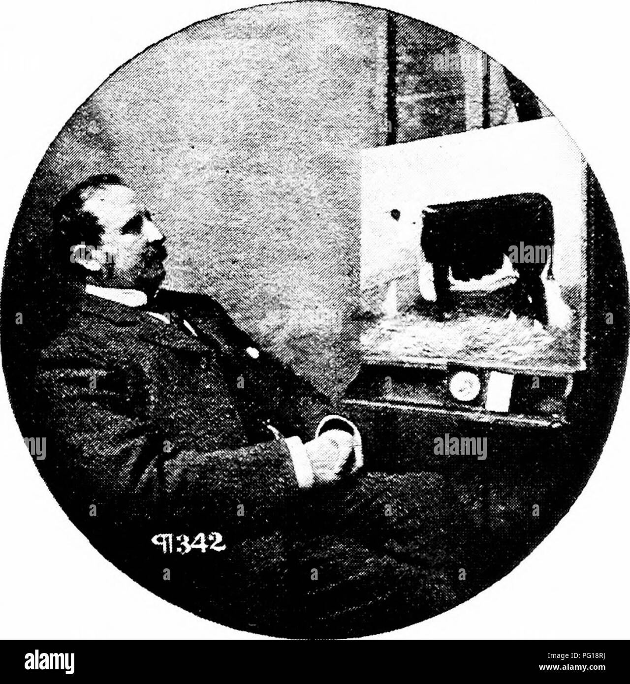 This image provides historical details about Hereford cattle, one of ...