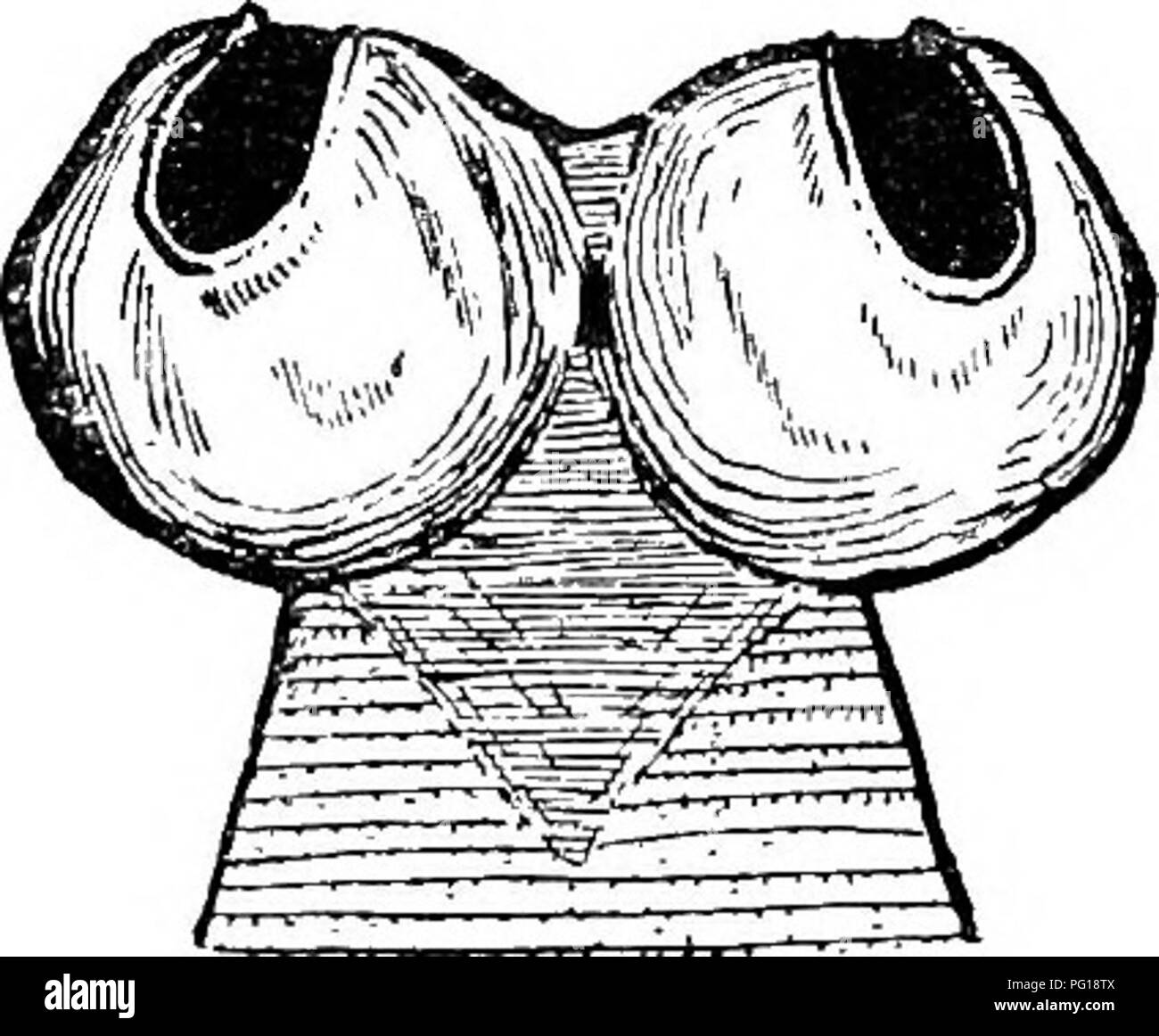 Picrate salt hi-res stock photography and images - Alamy