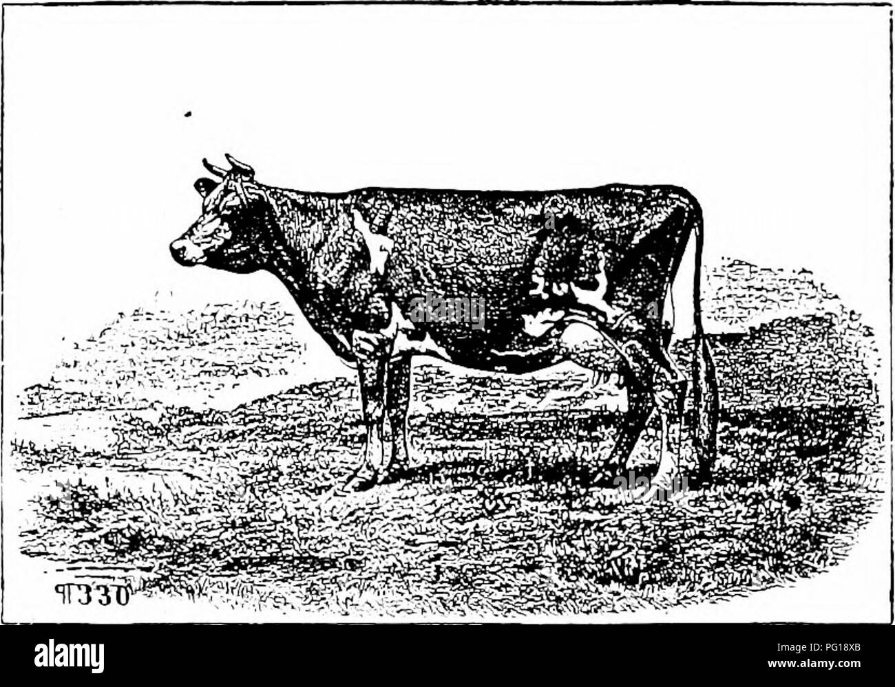 . History of Hereford cattle : proven conclusively the oldest of ...