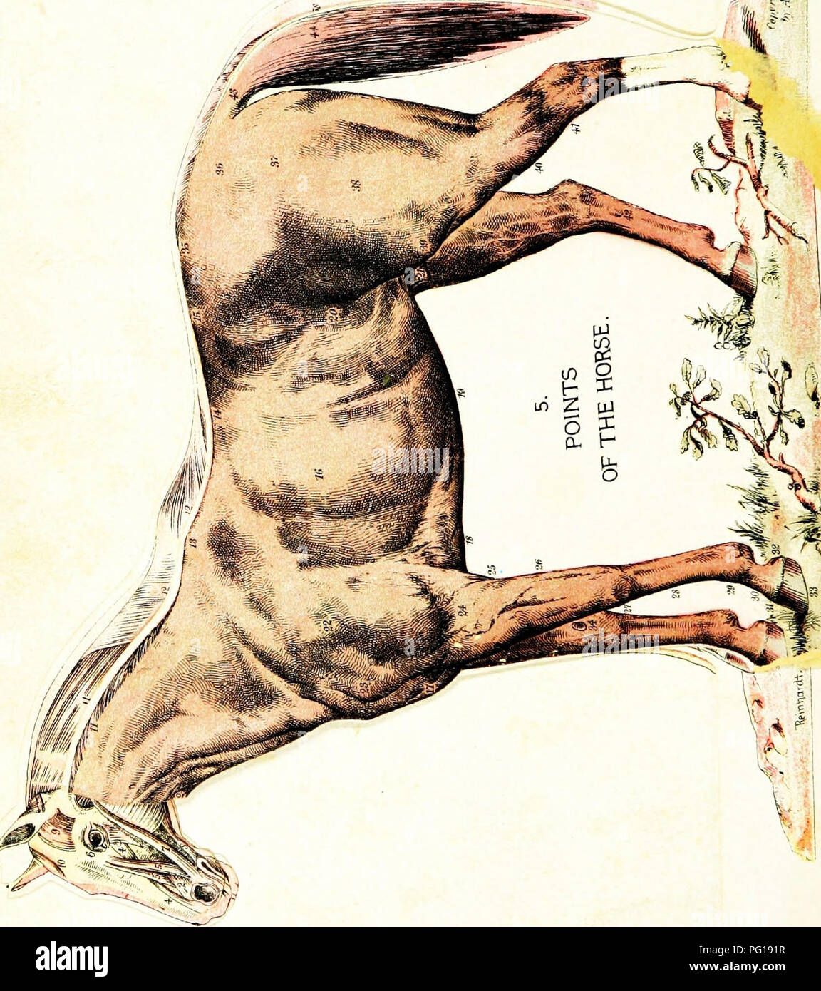 A guide for livestock management and general farming practices ...