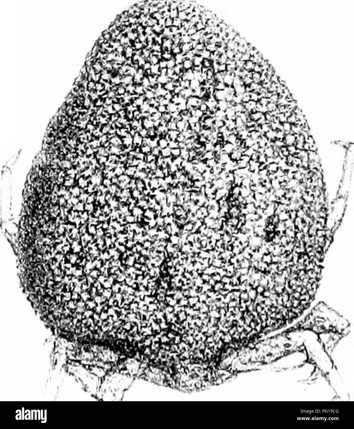 Merle norman hi-res stock photography and images - Alamy