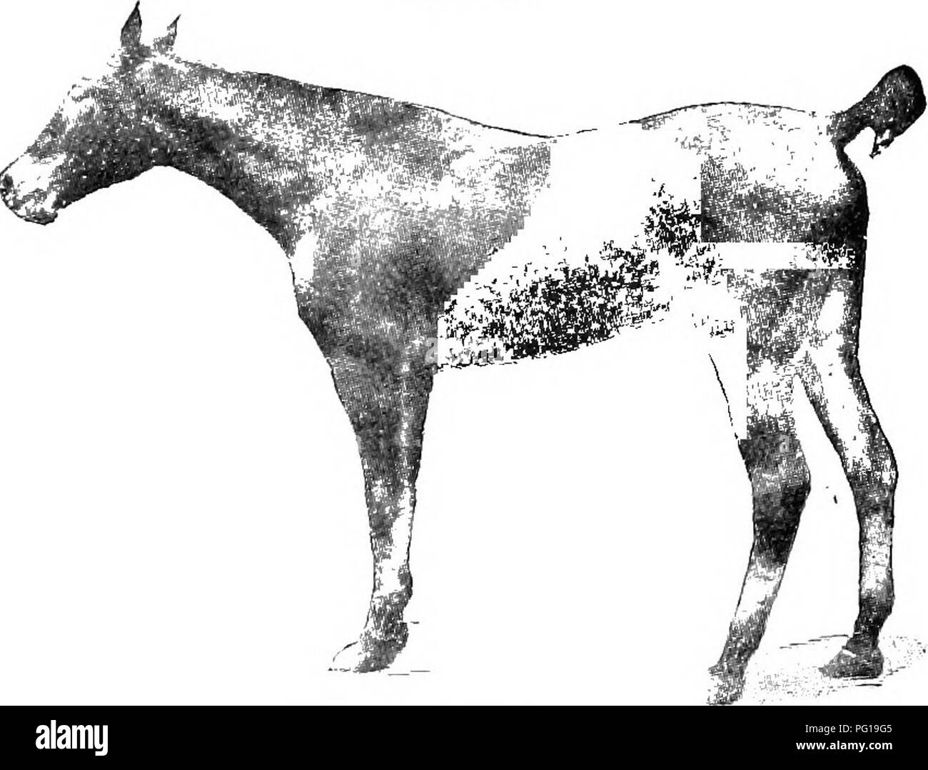 Surgery block Black and White Stock Photos & Images - Alamy