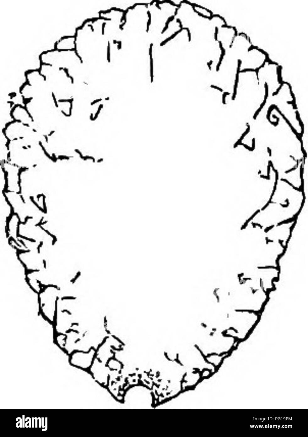 This work by James Cash and others focuses on British freshwater ...