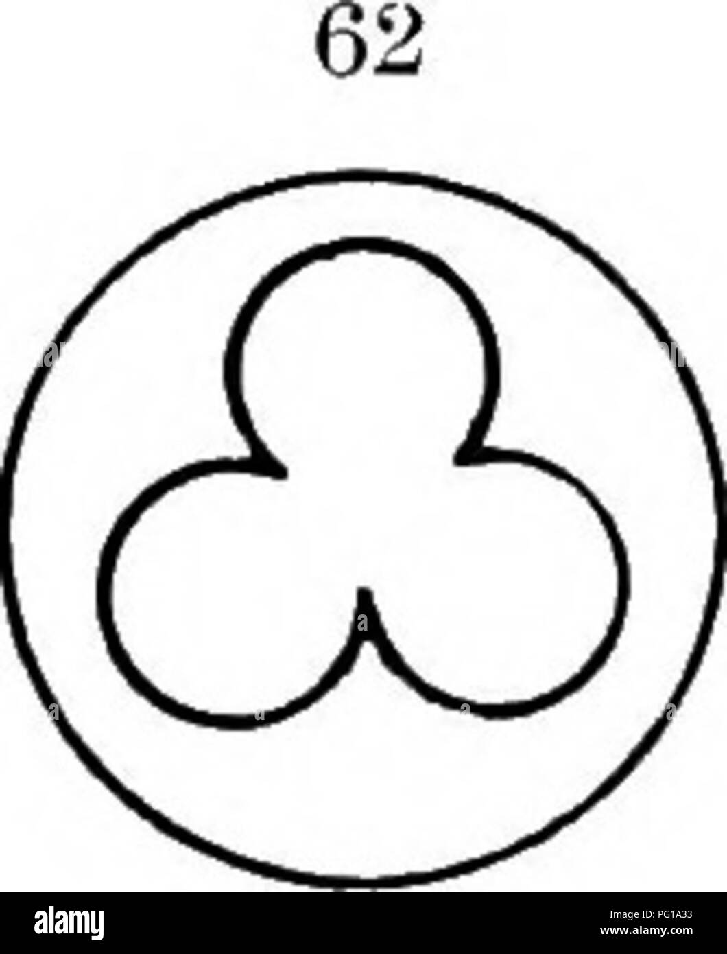 This work provides a detailed study of British freshwater Rhizopoda and ...