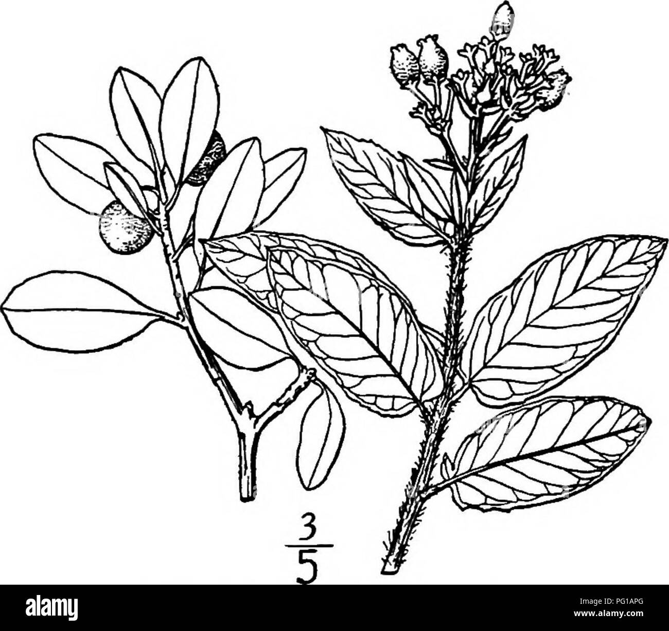 This book provides comprehensive descriptions and illustrations of ...