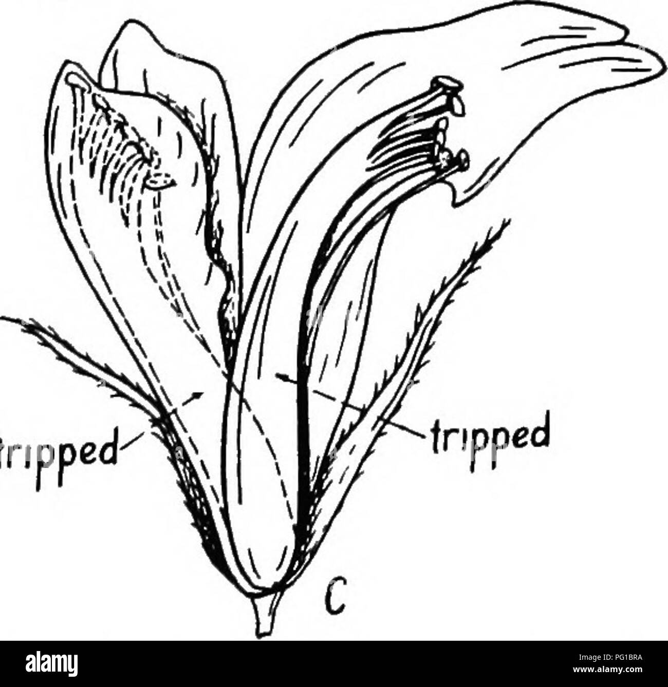 Tripping drawing reference 60 photos - Morilly.com