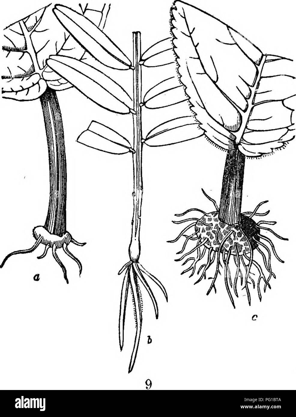 Principles of evidence hi-res stock photography and images - Alamy