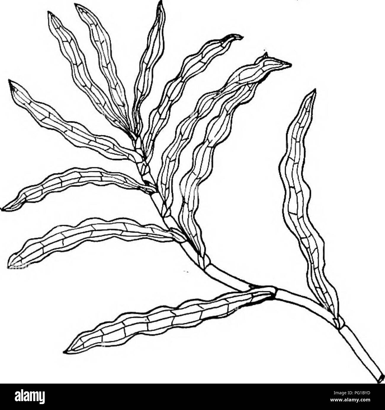 This guide to natural history on the farm emphasizes plant life in ...