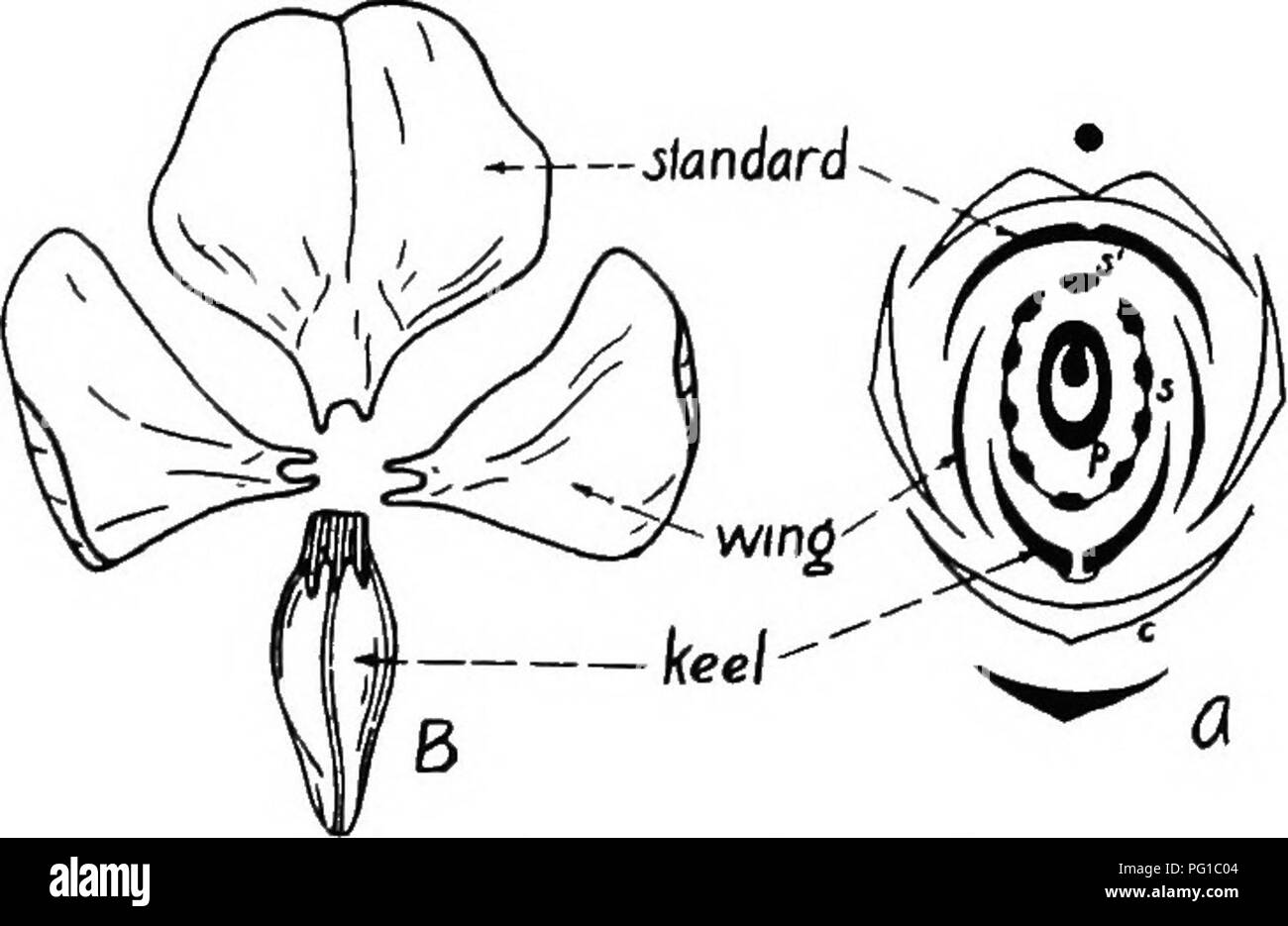 Ala 188 hi-res stock photography and images - Alamy