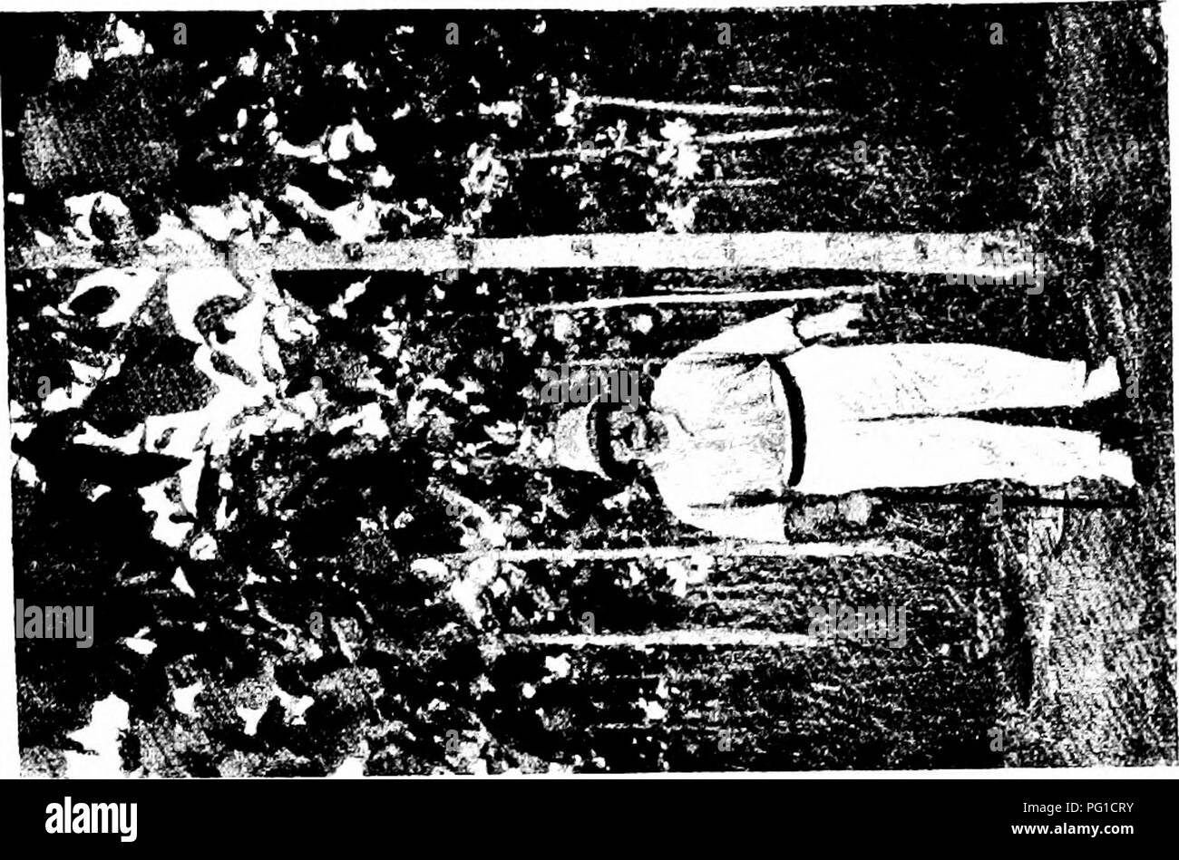 This work on West African forests covers forestry practices, including ...