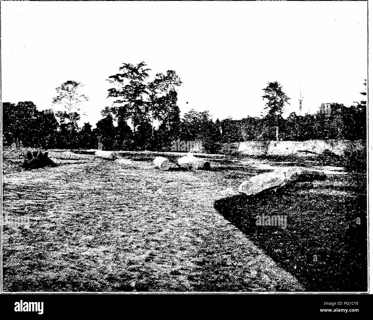 A manual providing detailed information on global timber types, their ...