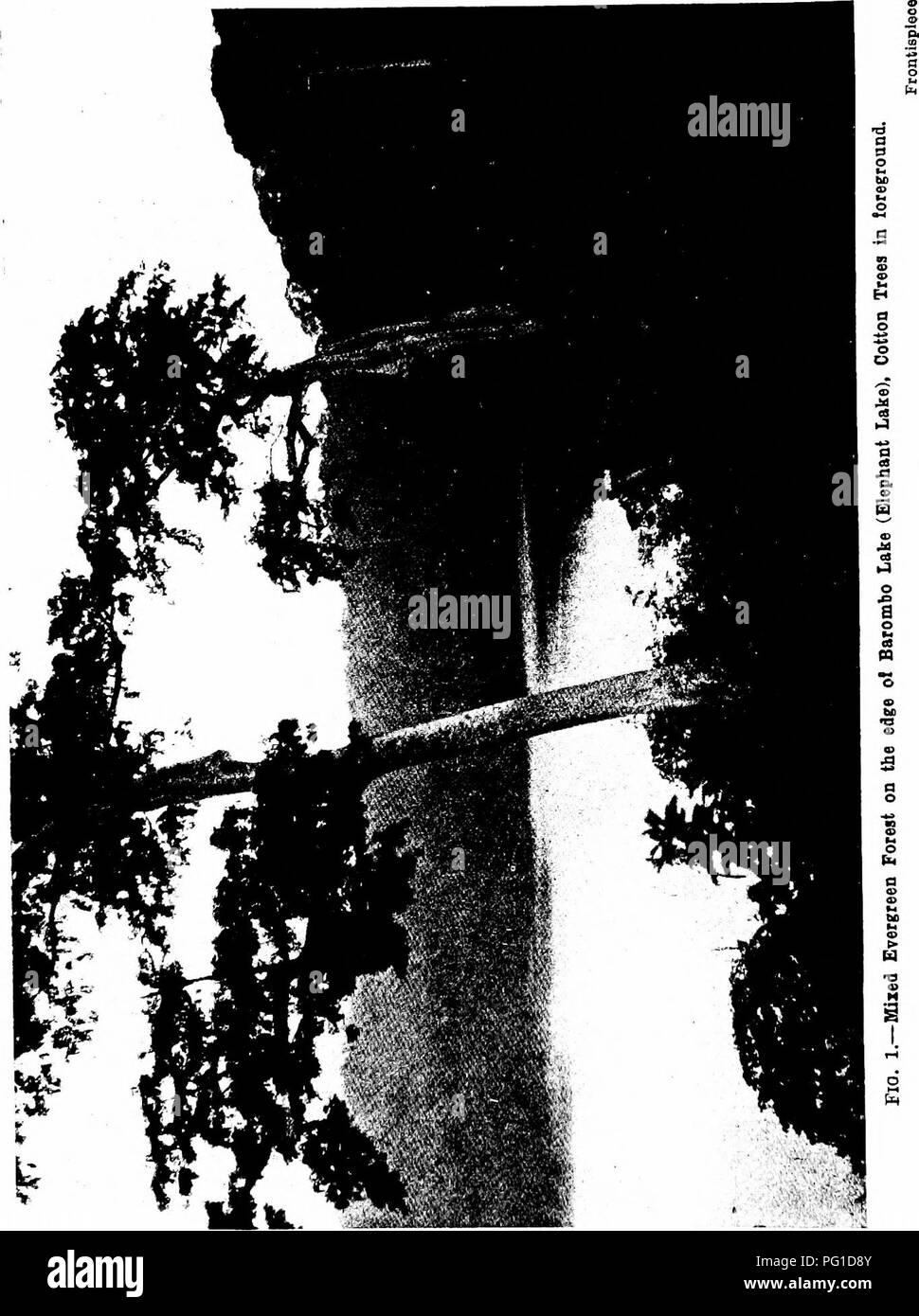 This text delves into the ecology and forestry practices of West ...