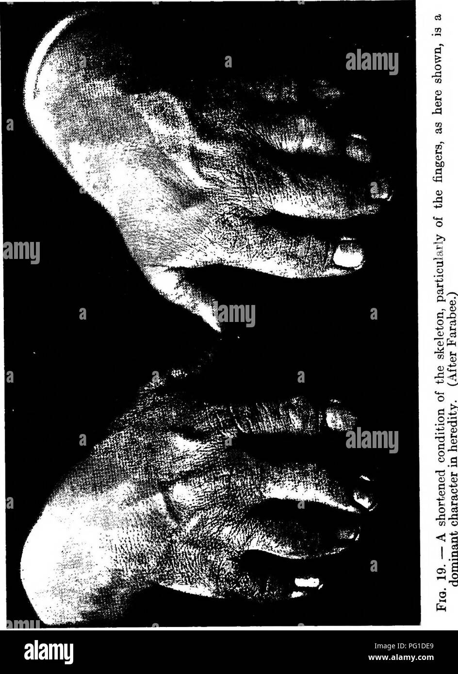 This book explores the role of heredity in evolution and its practical ...