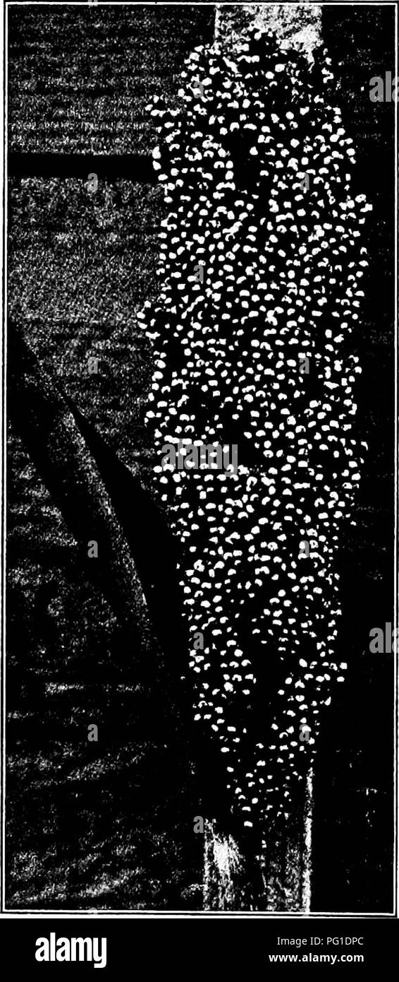 This work explores how soil types influence plant growth, focusing on ...