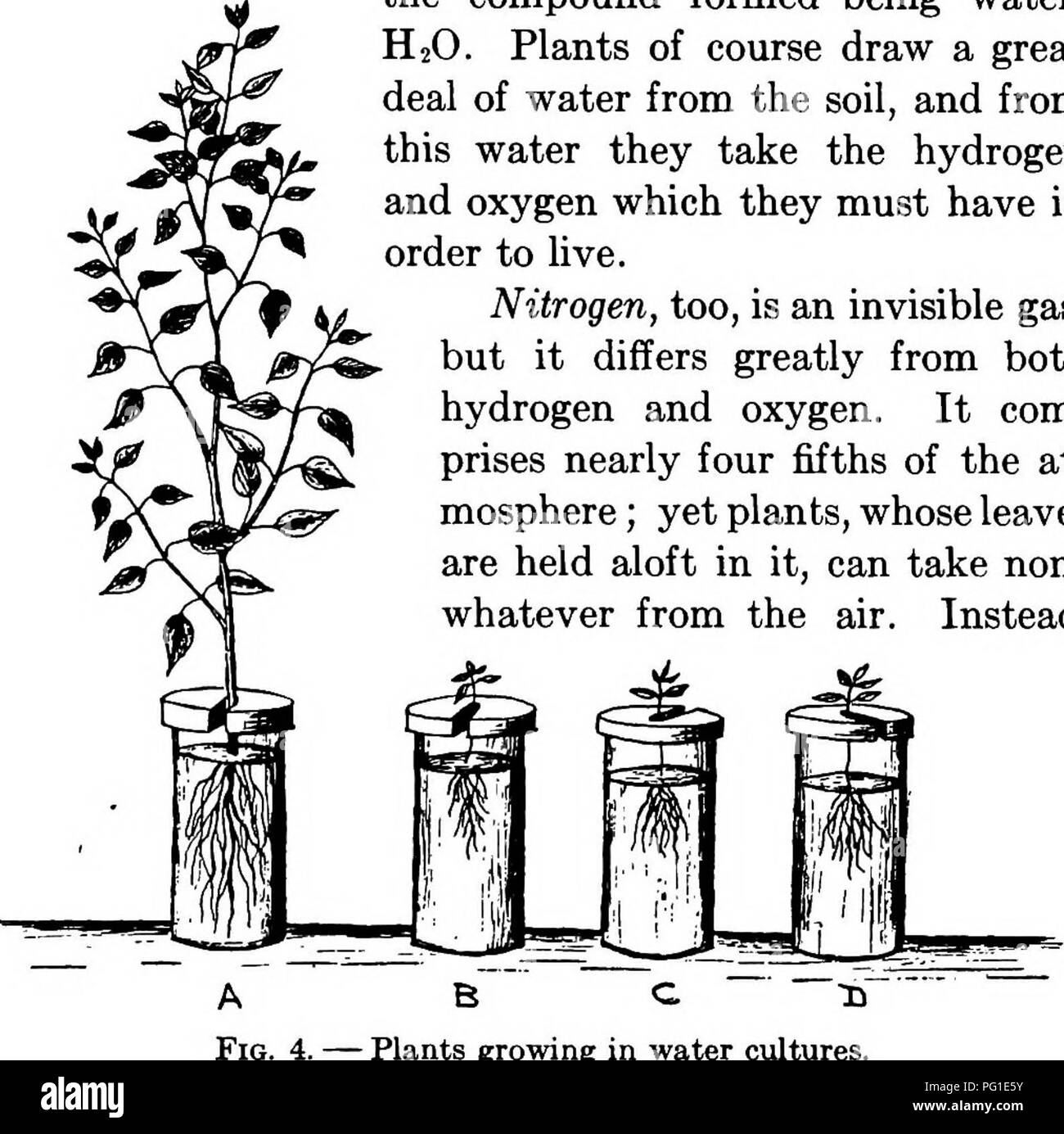 . Soils and plant life as related to agriculture . Agriculture; Soils ...