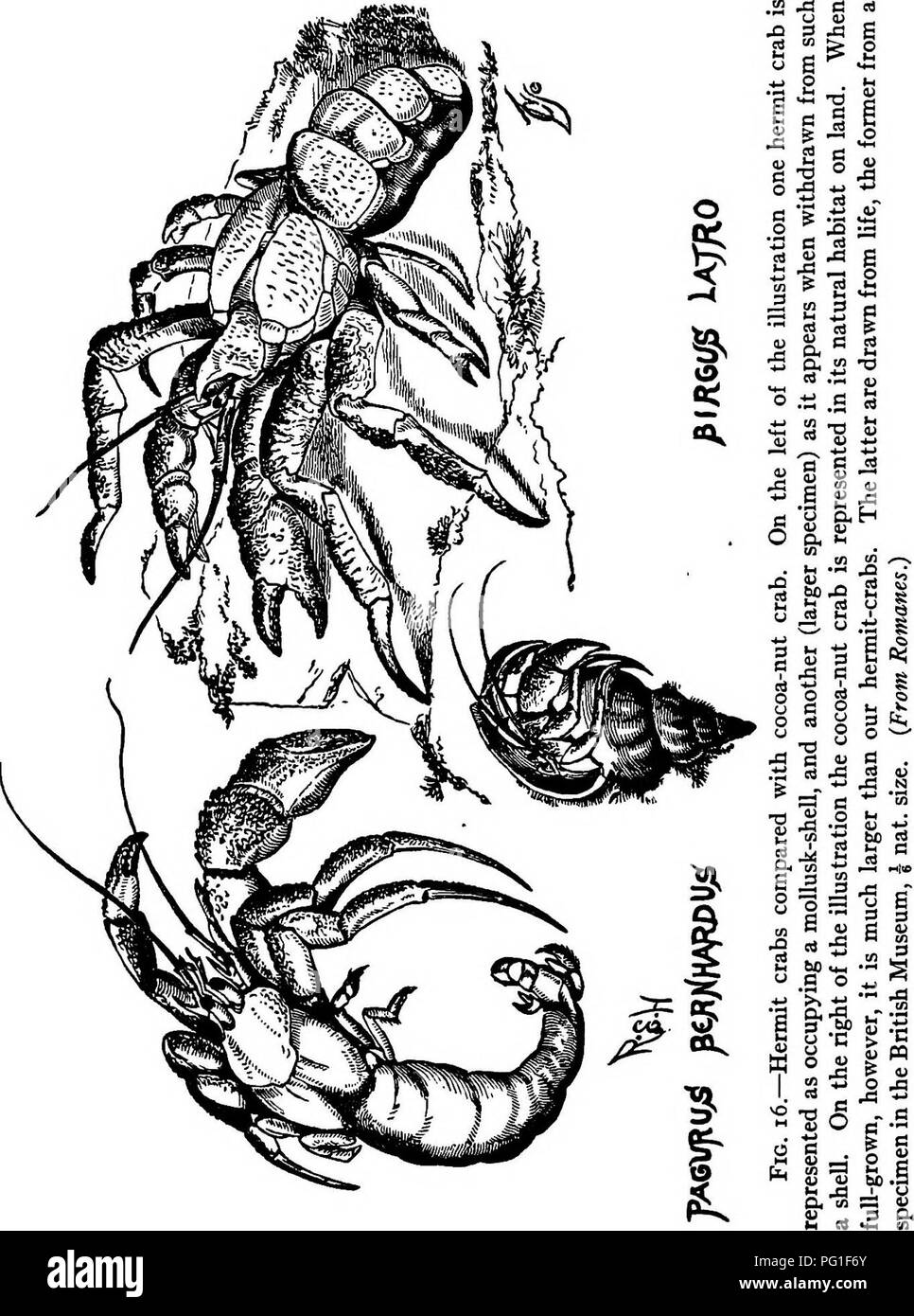 This book offers an in-depth exploration of the concepts of evolution ...