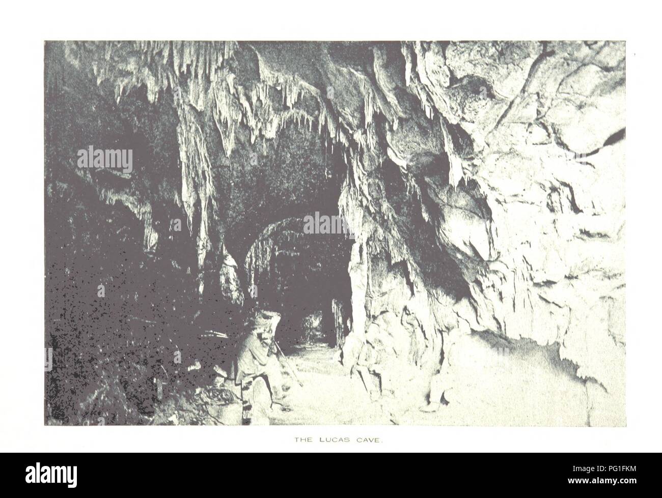 Image from page 70 of 'The Jenolan Caves an excursion in Australian ...