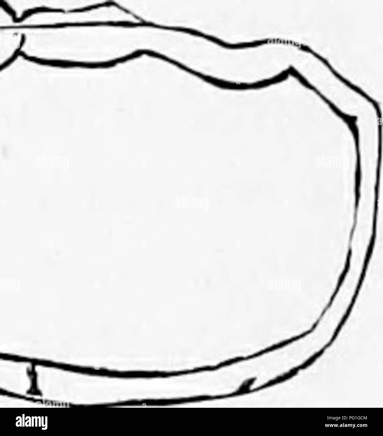 This zoology textbook provides an accessible introduction to animal ...