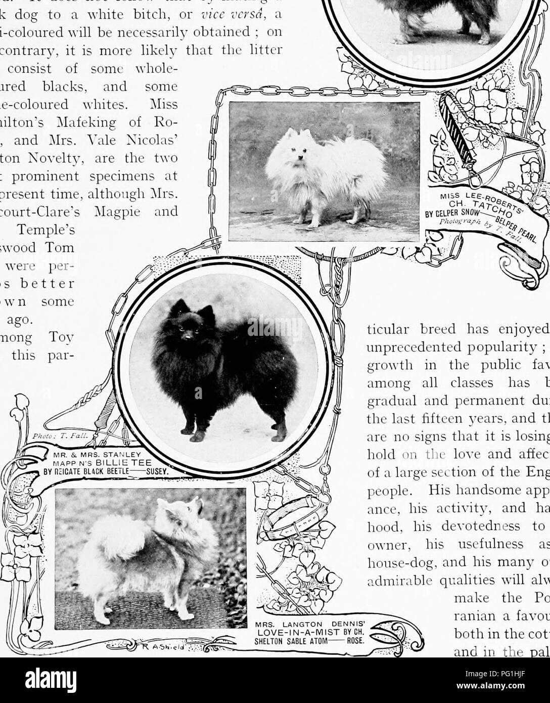 This book offers an extensive overview of British dog breeds and their ...