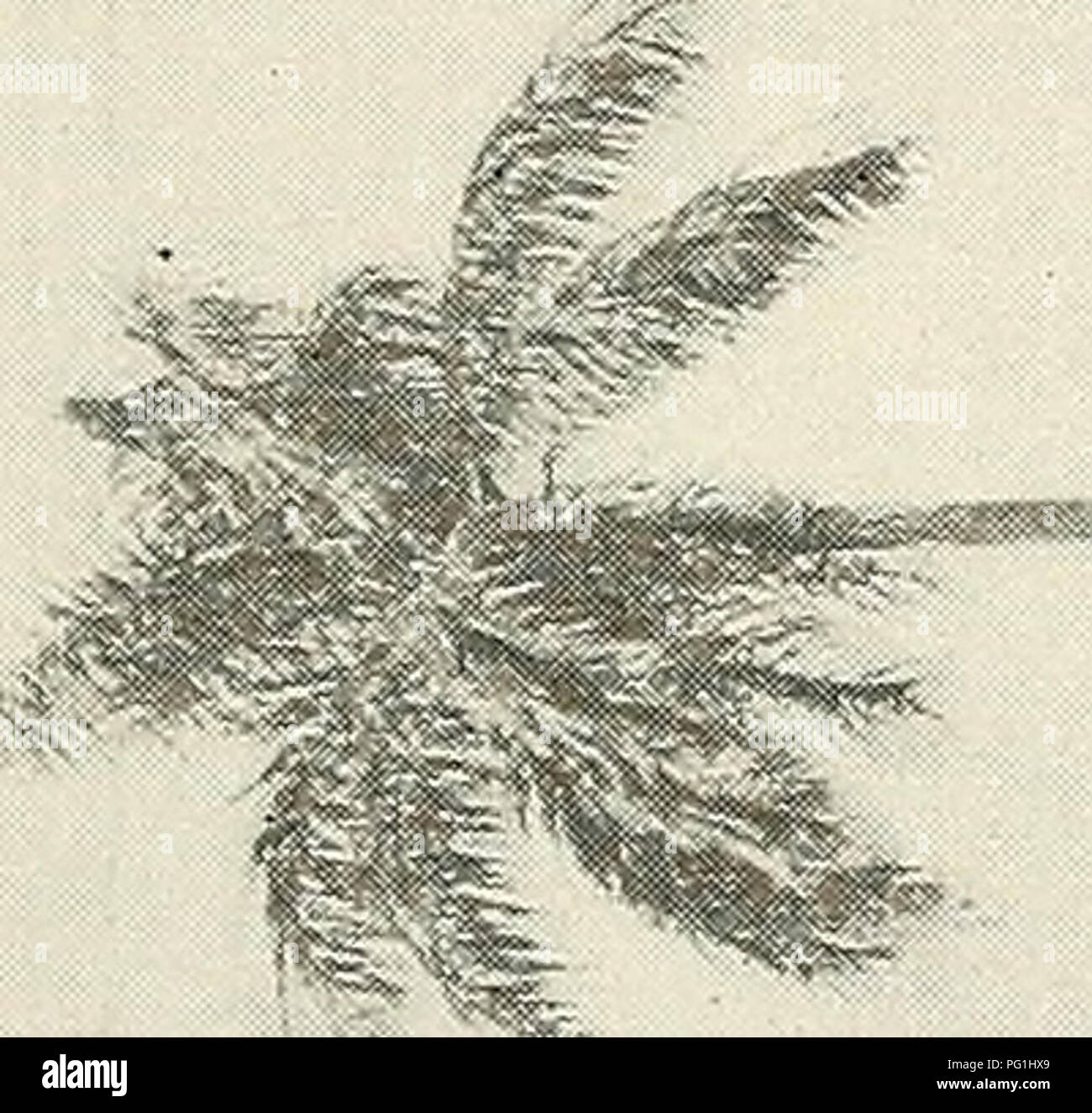 The Cuba Review highlights various aspects of Cuban culture, economy ...