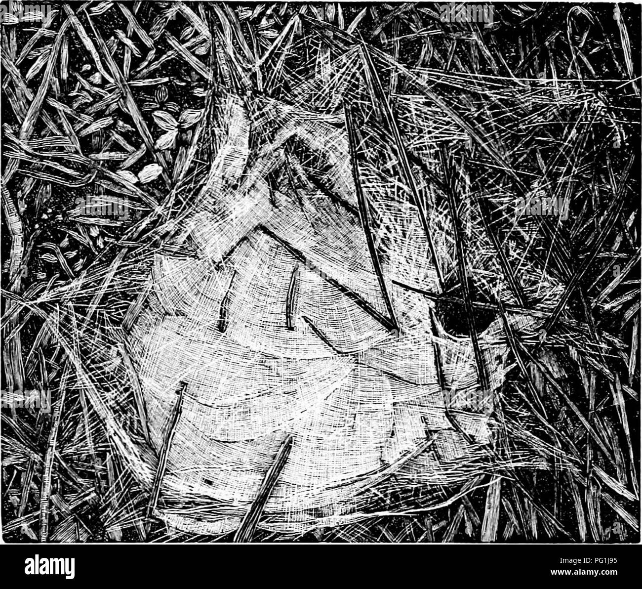 Concave funnel shaped hi-res stock photography and images - Alamy