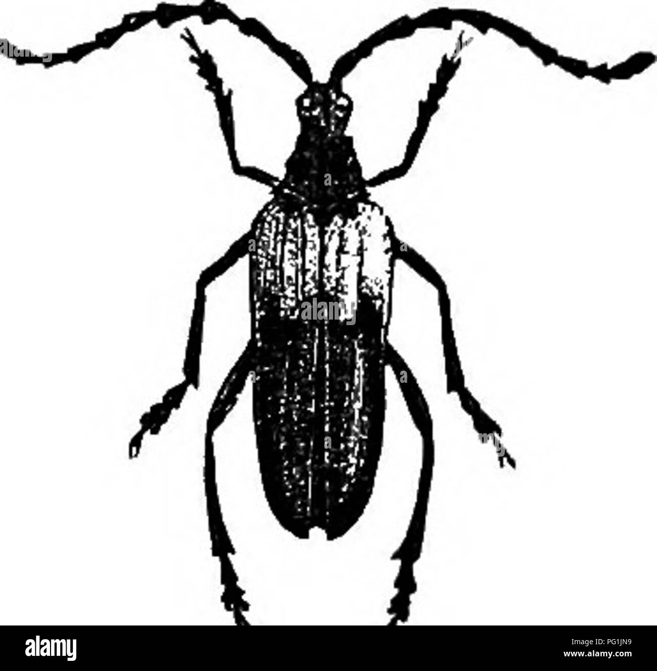 This section provides a detailed introduction to the classification of ...